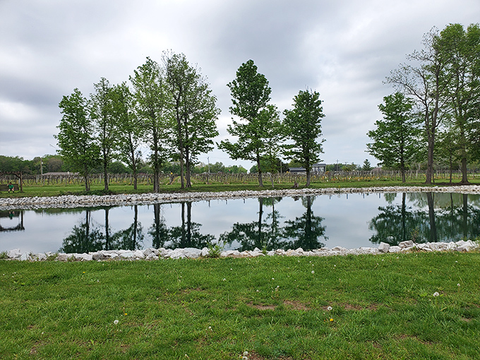 Grape expectations! This serene vineyard view is proof that Mother Nature and winemakers make an unbeatable team. Cheers to that partnership!