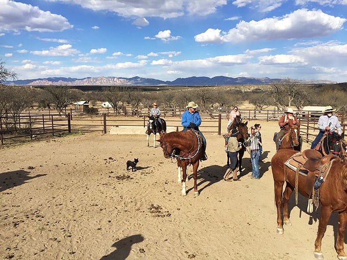 Modern-day cowboys share tales of the trail, while their horses seem as at home here as their 1880s predecessors.