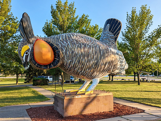 Pristine poultry: This well-maintained statue proves Rothsay takes its chicken duties seriously. No fowl play when it comes to upkeep!
