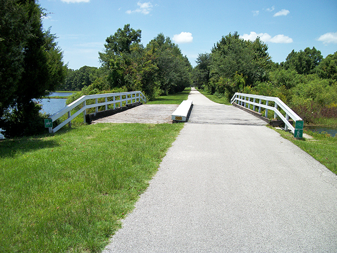 Bike path or time machine? The Withlacoochee State Trail offers a journey through Florida's natural beauty, no DeLorean required.