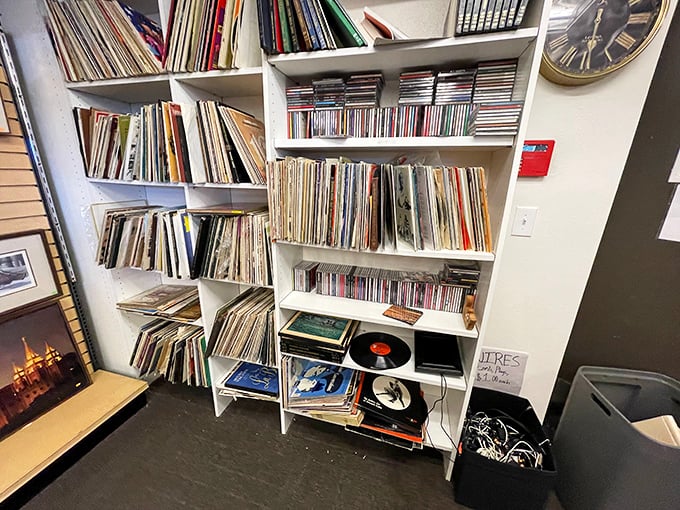 Vinyl enthusiasts, prepare to geek out! This record collection is a time machine for your ears.