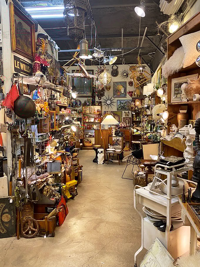 It's like a game of I Spy gone wild. Can you spot the hidden gems among this delightful chaos of curiosities?