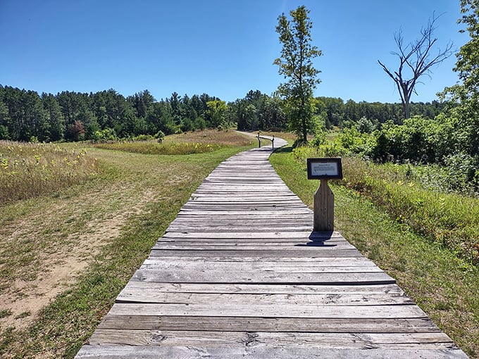 Who says you can't walk on water? This boardwalk lets you strut your stuff while staying high and dry. Take that, Jesus!