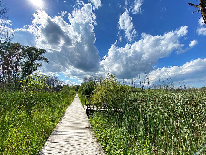 Sky above, boardwalk below, and a world of wonder in between. This path invites you to walk on water &ndash; almost.