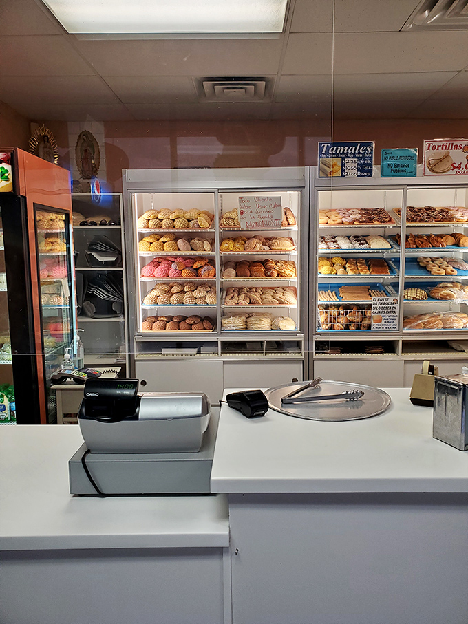 Decision time at the counter of dreams. Will it be a tamale feast or a sweet treat extravaganza? Why not both? You're on vacation!