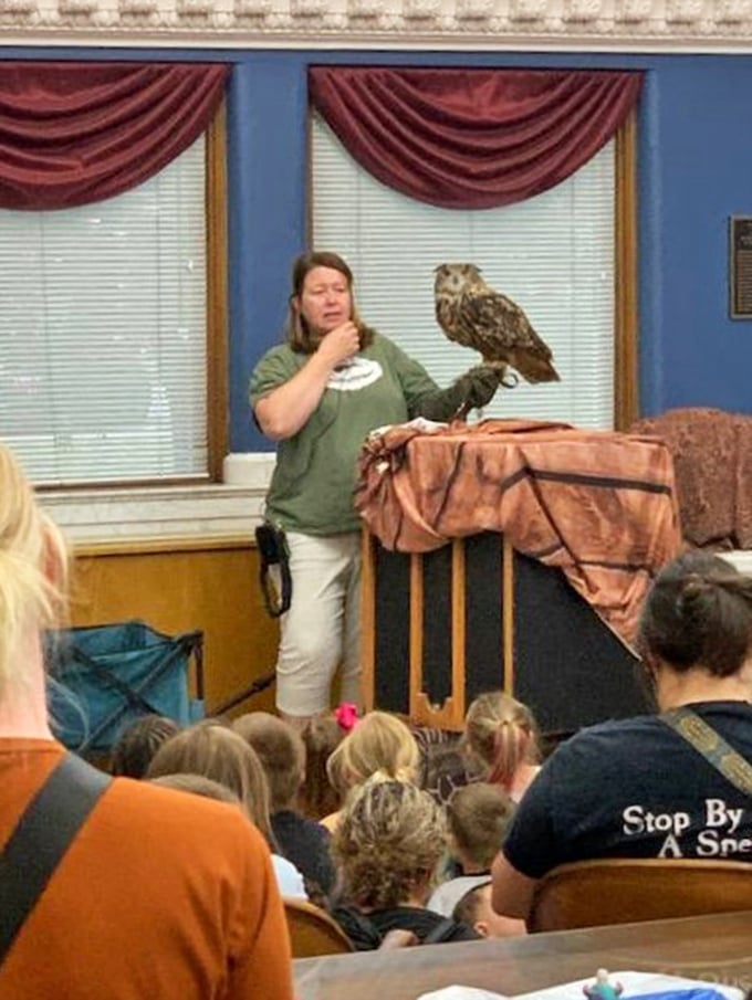 Who said libraries were just about books? Here's a real-life owl giving Hedwig a run for her money!