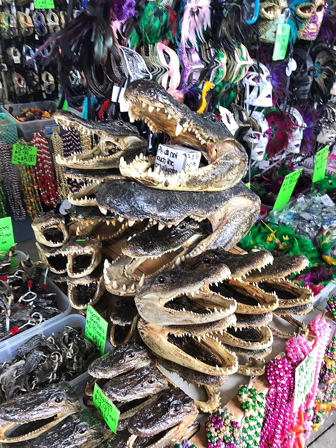 Gator country! These toothy souvenirs are perfect for those who like their mementos with a bit of bite. Just don't try to pet them!