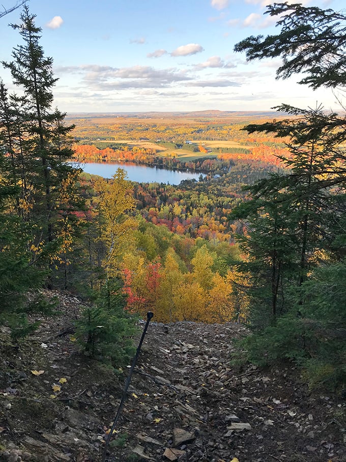 Autumn in Aroostook: where the trees put on a fashion show that'd make New York Fashion Week jealous.