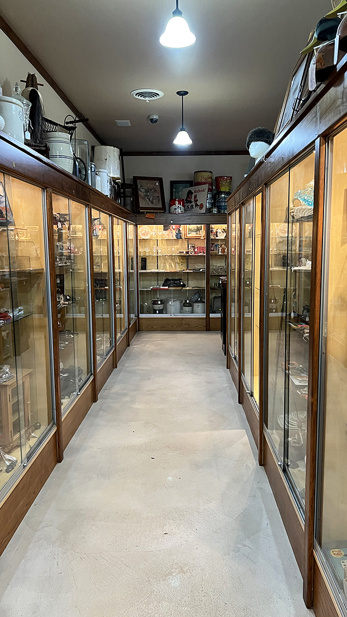 Down the rabbit hole of nostalgia! This hallway of glass cases is a time traveler's delight, filled with memories waiting to be rediscovered.