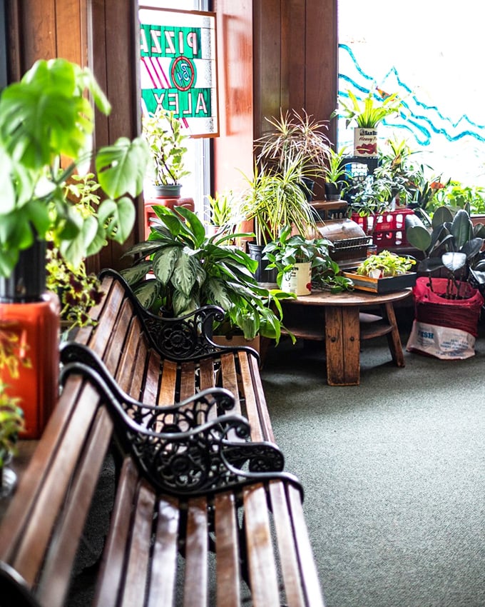 Plants and pizza - a match made in heaven! This cozy corner proves that even your houseplants deserve a night out on the town.
