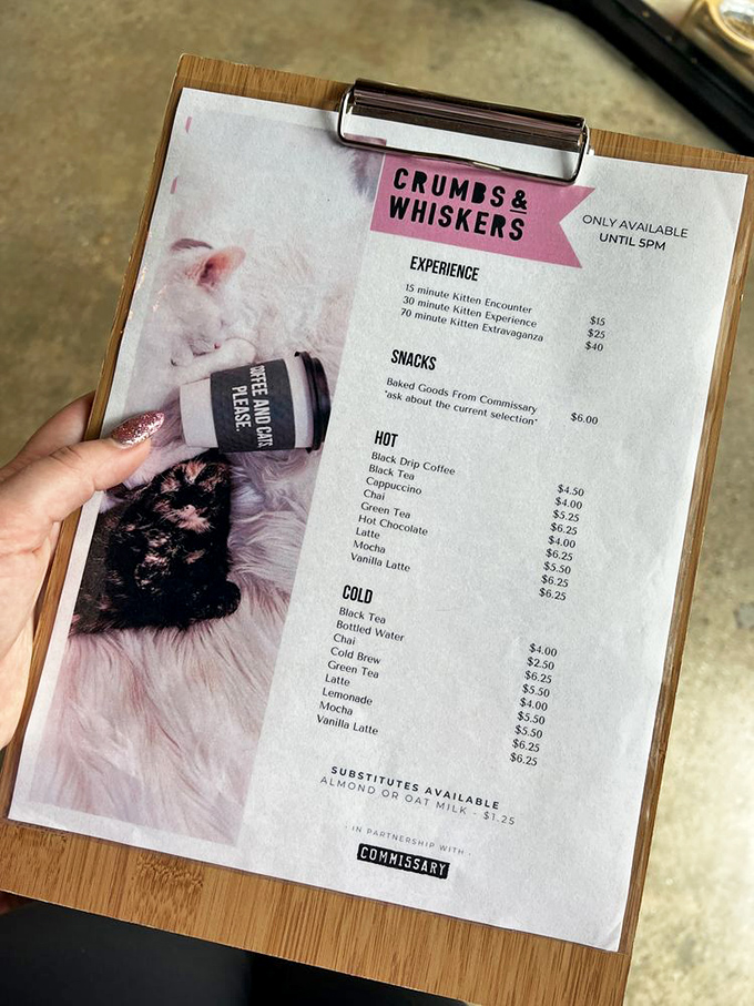 The menu of dreams for cat enthusiasts. Who knew "Kitten Extravaganza" could be an experience and not just a YouTube video category?