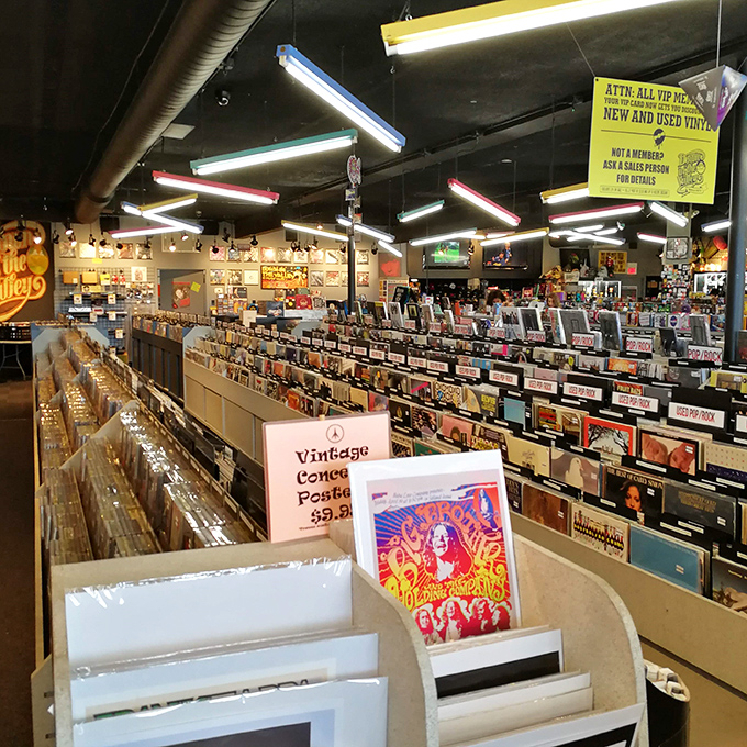 More records than you can shake a drumstick at! This vinyl wonderland is a feast for both eyes and ears.
