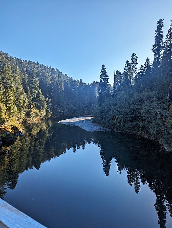 Mirror, mirror in the woods, which trail is the fairest of them all? This reflective river scene is nature's own Instagram filter.
