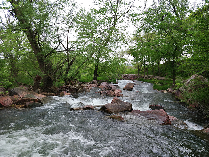 Rapids that rival your morning coffee rush! This stream is nature's own energy drink, served on the rocks.