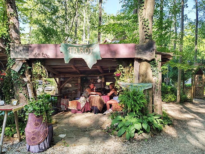 Tarot readings: because sometimes you need a medieval psychic to tell you to stop procrastinating on your taxes.