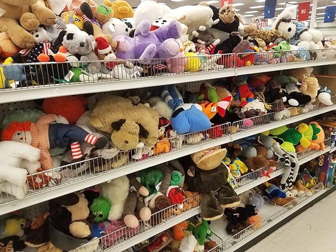 Stuffed animal adoption center alert! These cuddly critters are lined up, hoping to find a new family and avoid the island of misfit toys.