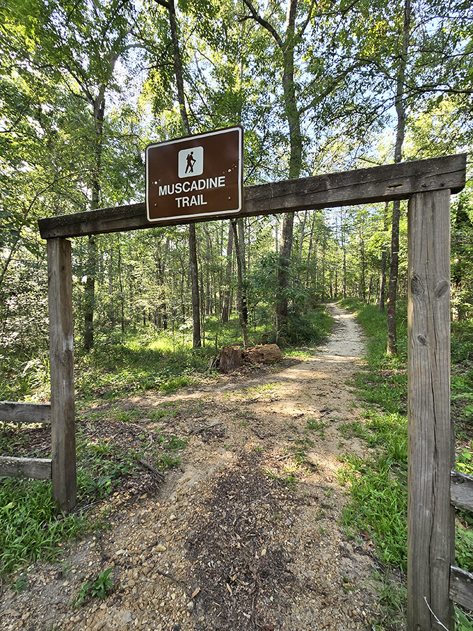 The Muscadine Trail: where every step is a grape escape. It's nature's way of saying, "Take a hike, but make it sweet!"