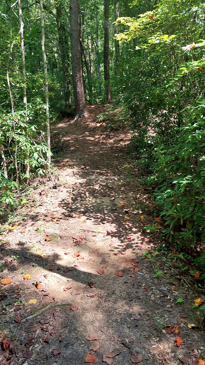 Follow the leafy yellow brick road. This trail promises an Oz-like wonderland at every turn, minus the flying monkeys.