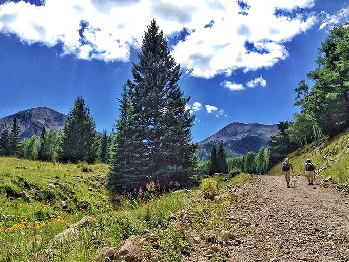 Trails that whisper, 'Adventure this way!' Time to channel your inner Frodo and embark on an epic journey (minus the ring drama).