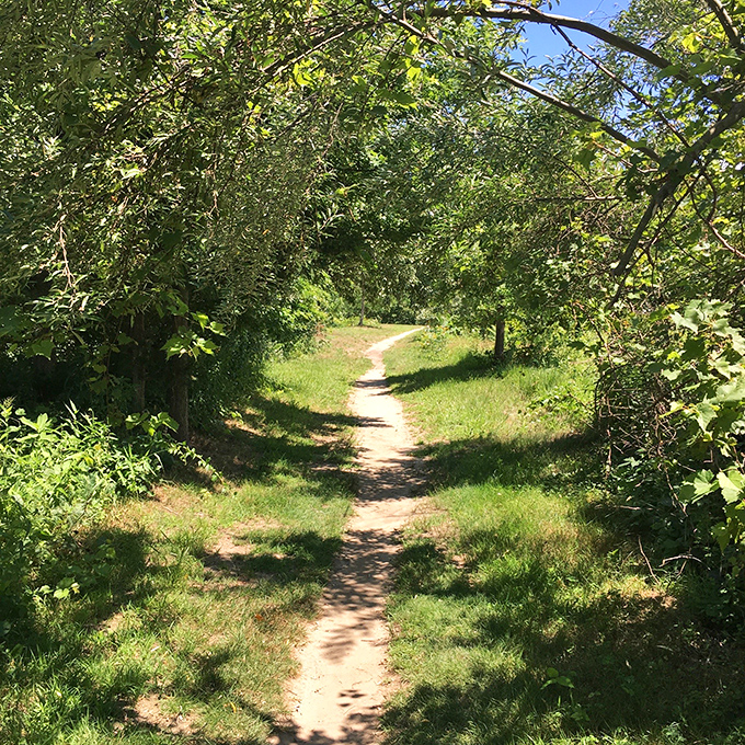 Follow the yellow brick road? Nah, this golden trail is way better. Dorothy would be jealous of this Oz-some adventure.