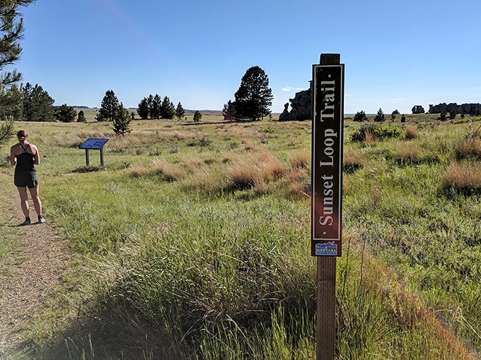 Follow the yellow brick road? Nope, just a sun-kissed trail winding through nature's sculpture garden.