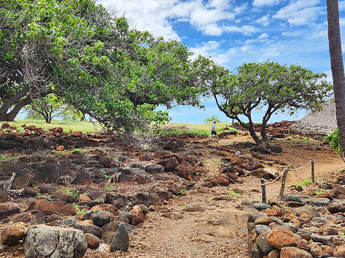 Follow the yellow brick... err, lava rock road. This trail leads to wonders that would make even Dorothy's head spin!