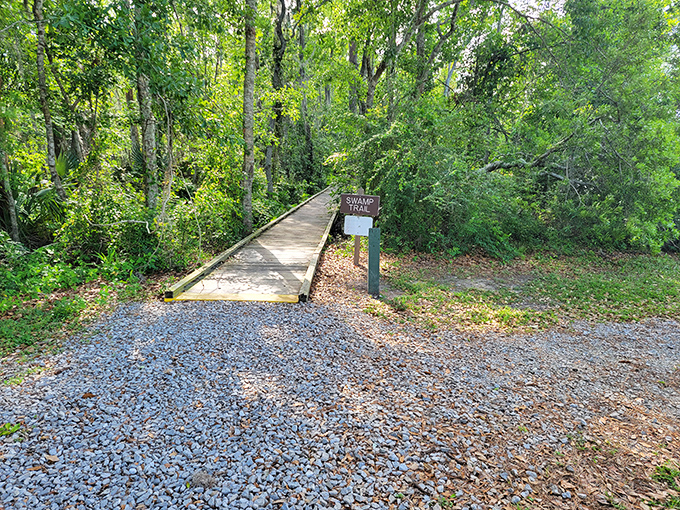 Trail mix, optional. This path leads to adventures that even Indiana Jones would envy. Time to channel your inner explorer!