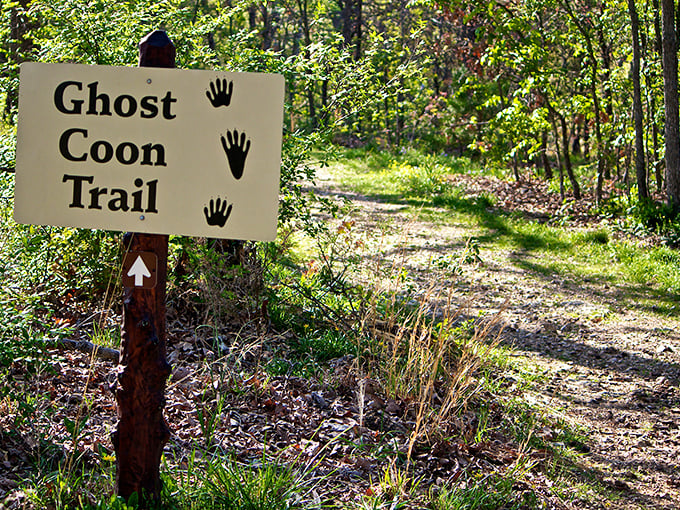 Ghost Coon Trail: where the only scary thing is how quickly you'll fall in love with the great outdoors.