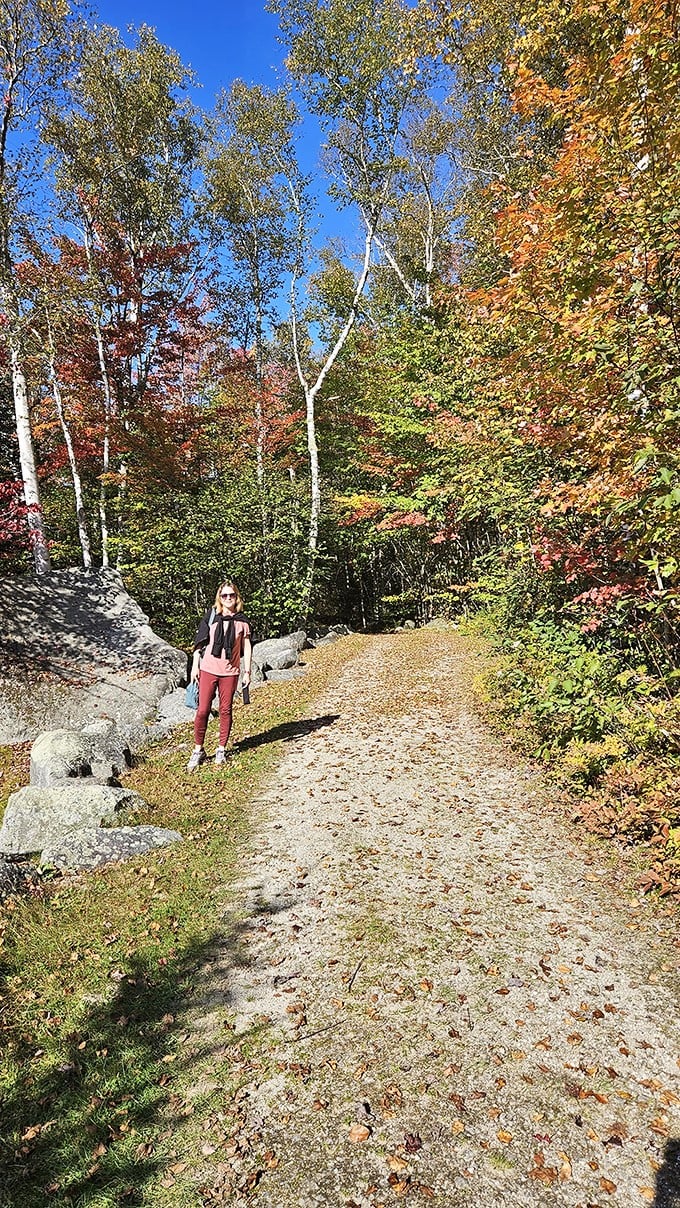 Embark on a trail of autumn wonder. It's like walking through a Bob Ross painting, but with more exercise.