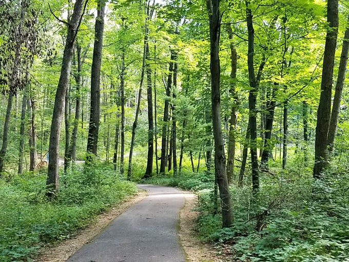 A trail so picturesque, it makes treadmills weep with envy. Here, "daily grind" refers only to the crunch of leaves beneath your feet.