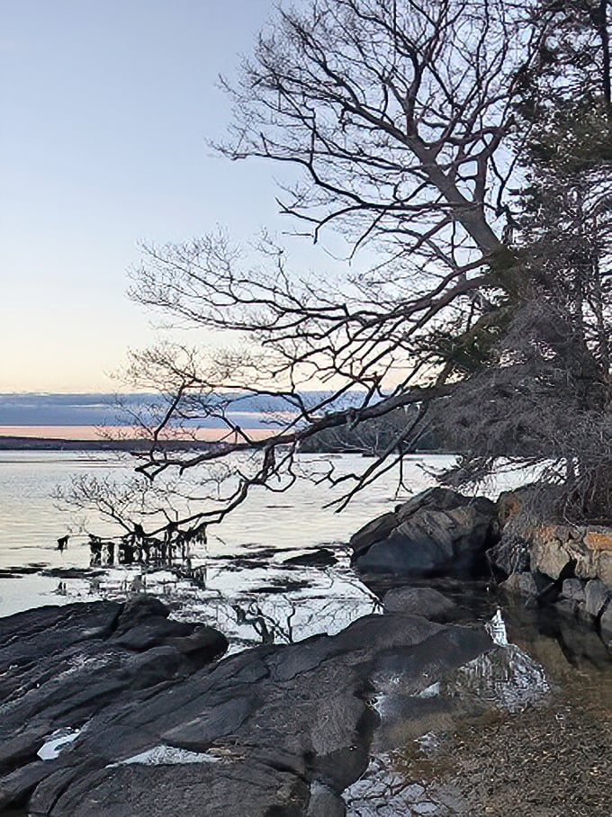 Winter's canvas: Jack Frost's artistry turns Barrett's Park into a monochromatic masterpiece. Ansel Adams, eat your heart out!