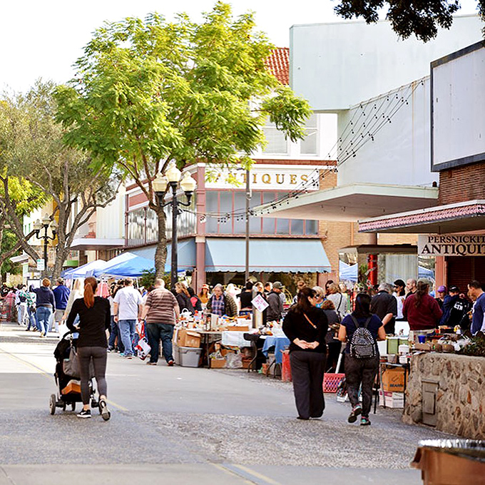 Antique events: Where "window shopping" becomes an Olympic sport and "just browsing" is a full-day commitment. Bring comfortable shoes and an empty trunk!