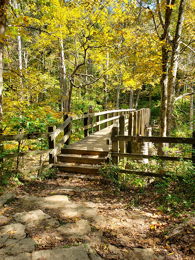 "Autumn's golden ticket: A bridge to nowhere? More like a passage to everywhere your imagination can take you!"