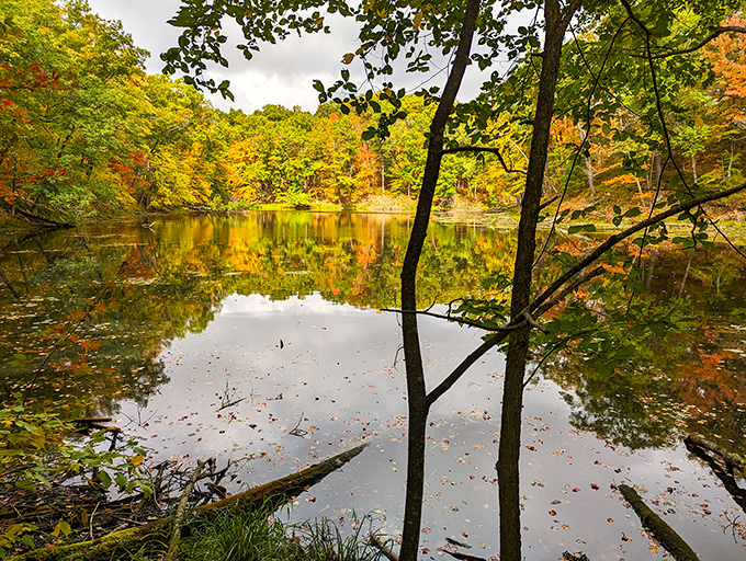 Autumn's masterpiece: Mother Nature flexes her artistic muscles, painting the landscape in a breathtaking palette of reds, golds, and greens.