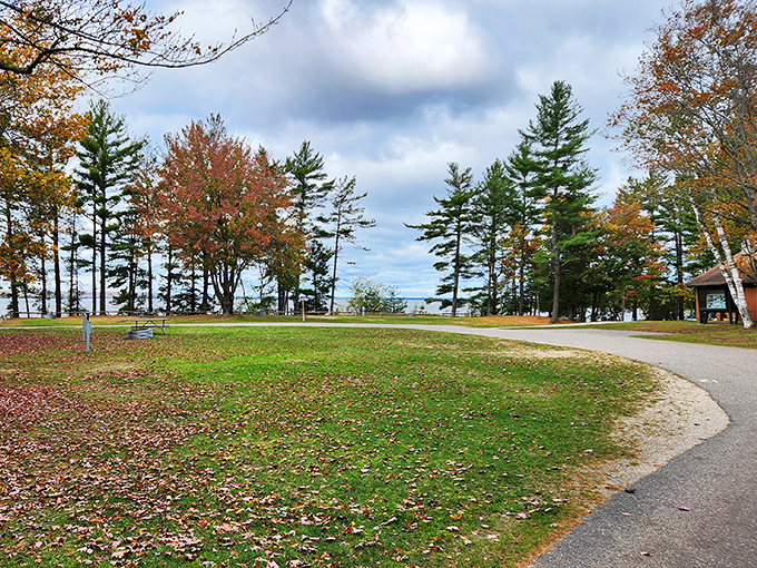 Fall's fashion show is in full swing. Mother Nature's pulling out all the stops - who knew trees could be such divas?