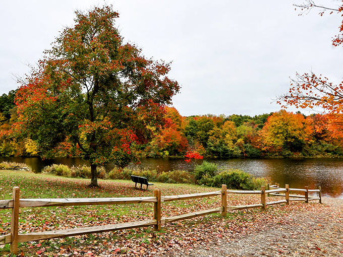 Nature's confetti celebration! Fall at Barkcamp paints the landscape in hues so vibrant, you'll swear Mother Nature's been taking art classes.