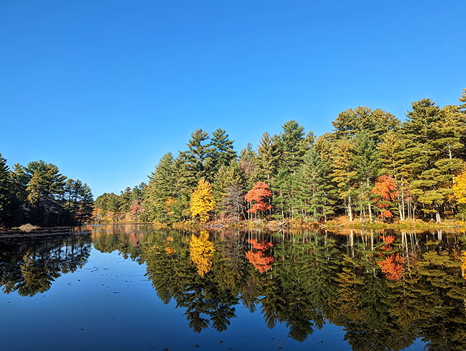Autumn in New England: Where trees put on a fashion show that would make Paris Fashion Week green with envy.