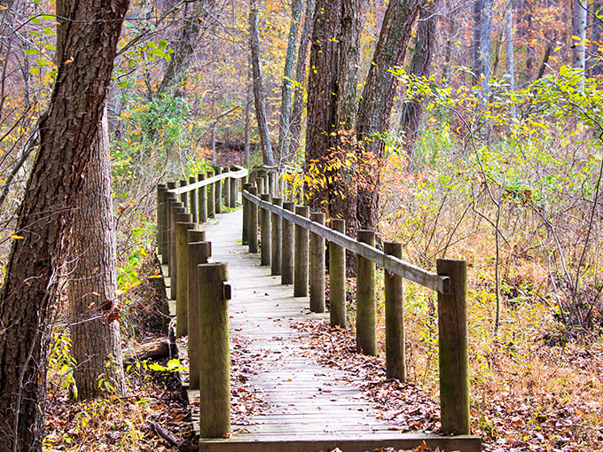 Mother Nature's fall fashion show: a dazzling display that puts New York Fashion Week to shame.