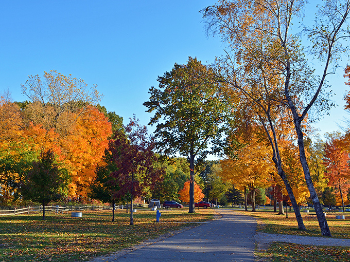 Autumn in Michigan: when Mother Nature cranks up the color saturation to 11. This path is like walking through a living, breathing Monet painting.