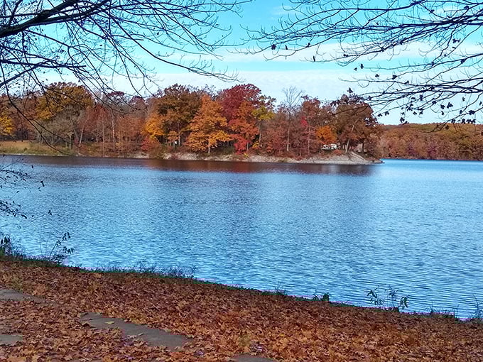 Autumn in Illinois: Where the trees put on a show that rivals Broadway. No tickets required, just bring your sense of wonder.