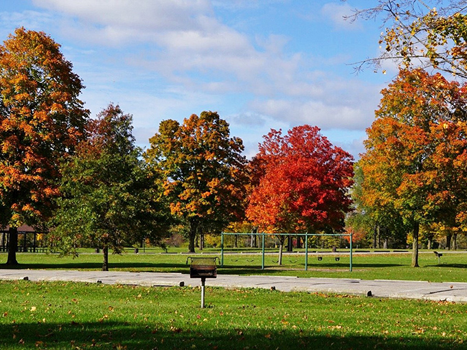Autumn's grand finale! Nature's fireworks display of reds, oranges, and golds puts even the Fourth of July to shame. No earplugs necessary for this show!