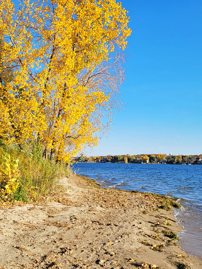 Fall's golden touch transforms the shoreline into a scene straight out of a Bob Ross painting - just add some happy little trees.