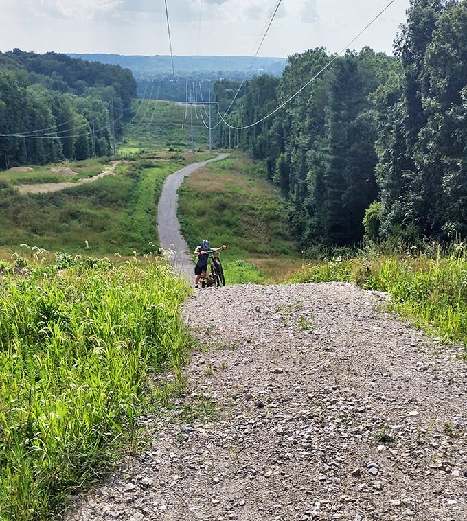 Two-wheeled adventures await! This trail is where weekend warriors transform into Tour de France champions... at least in their minds.