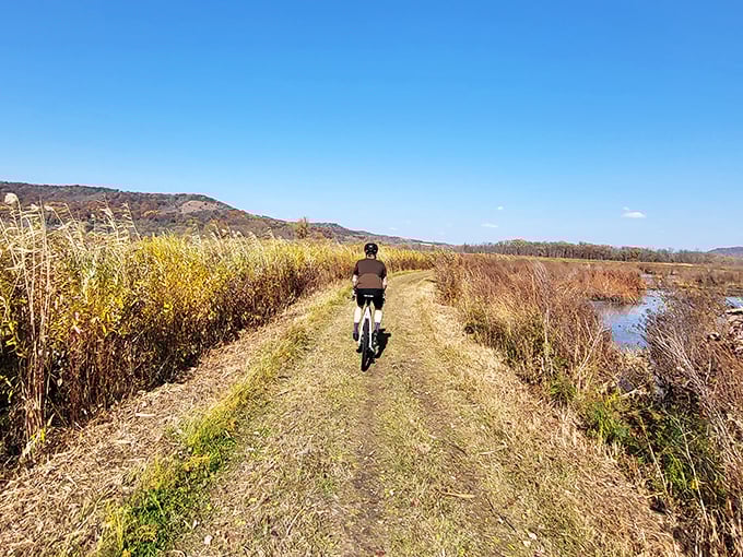 Two wheels and endless horizons. This cyclist is living proof that the best way to explore Trempealeau's beauty is on a bike &ndash; no spandex required.