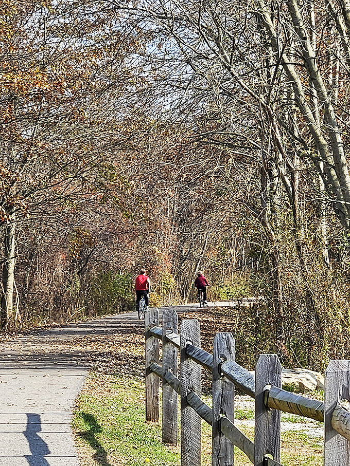 Two-wheeled freedom! This bike path is where rubber meets the road &ndash; or rather, where rubber meets the scenic route. Pedal power never looked so good.