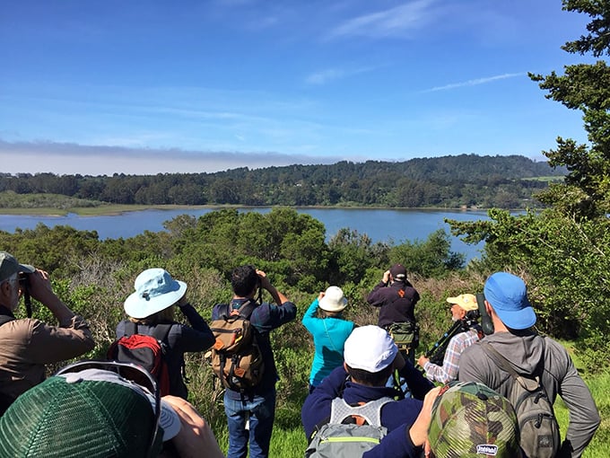 Birdwatchers unite! Here, even the most amateur ornithologist can feel like a regular John James Audubon.