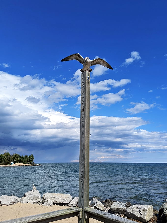 Talk about a power pose! This seagull's got a better view than most penthouse suites. Nature's own skyscraper, if you will.
