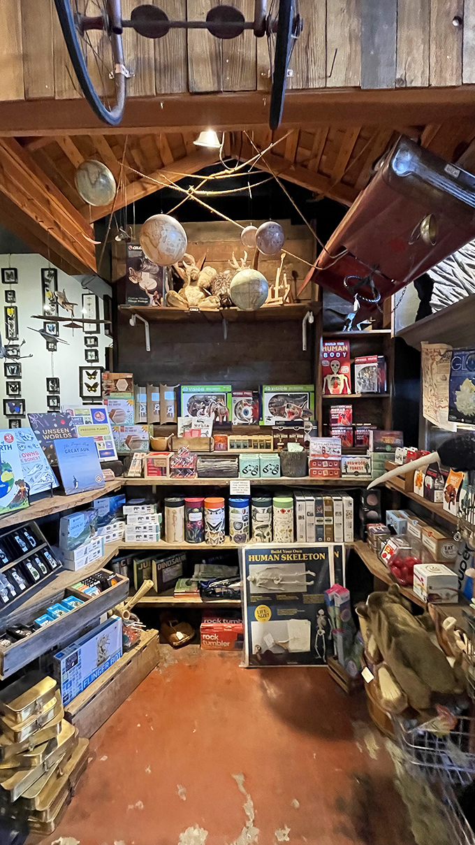 Knowledge is power, and apparently, it comes with antlers! This cozy nook is perfect for channeling your inner mad scientist.