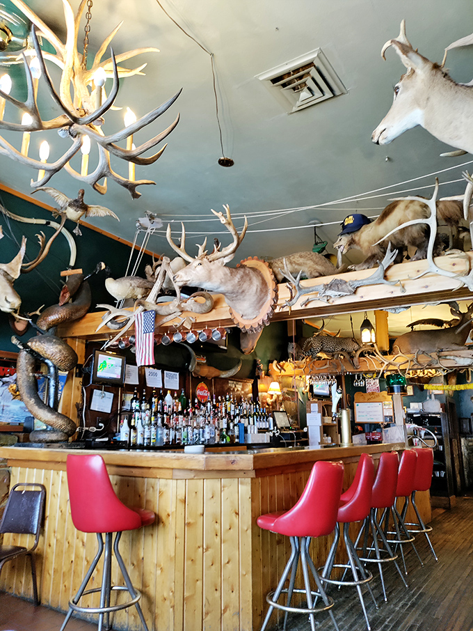 Pull up a chair at the wildest bar in town! With decor this eclectic, every drink comes with a side of conversation starter.