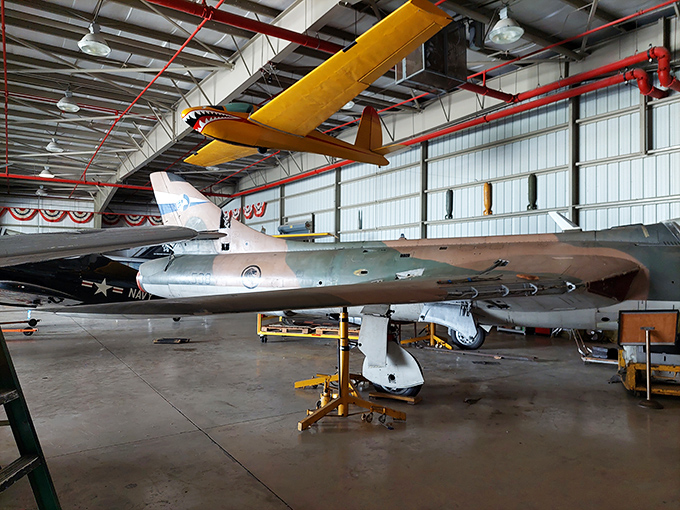 A rainbow of wings! These colorful birds might not sing, but they sure know how to put on a show.